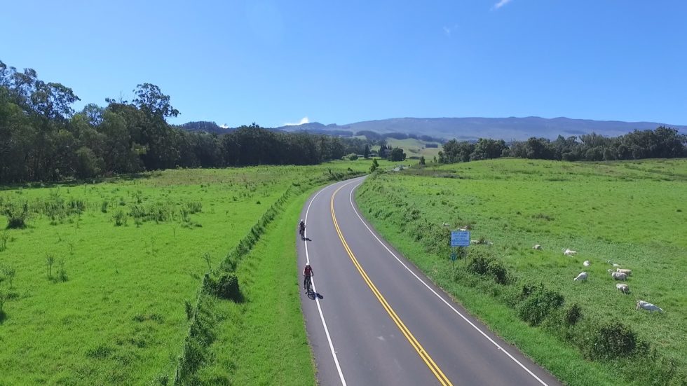 Best Maui Bike Tour | Maui Sunriders | Maui Volcano Bike Tour