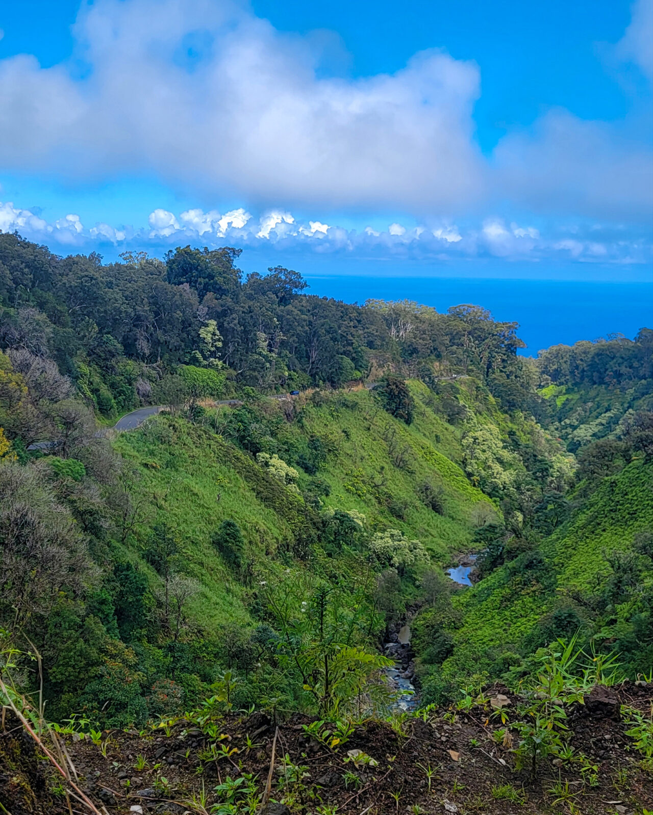 East Maui Loop (Expert) - Maui Bike Routes