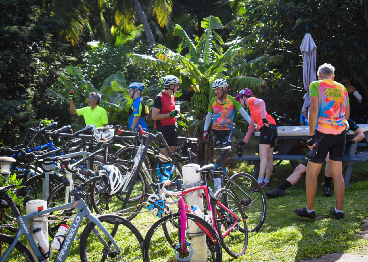 Maui Guided Bike Tour - Maui Sunriders Bike Shop
