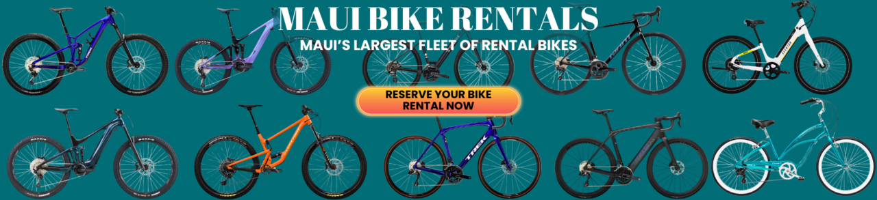 Best Maui Bike Tour | Maui Sunriders | Maui Volcano Bike Tour