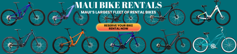 Best Maui Bike Tour | Maui Sunriders | Maui Volcano Bike Tour